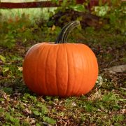 Roasted Pumpkin with Cinnamon-Ginger, Maple Syrup, and Brown Sugar ...