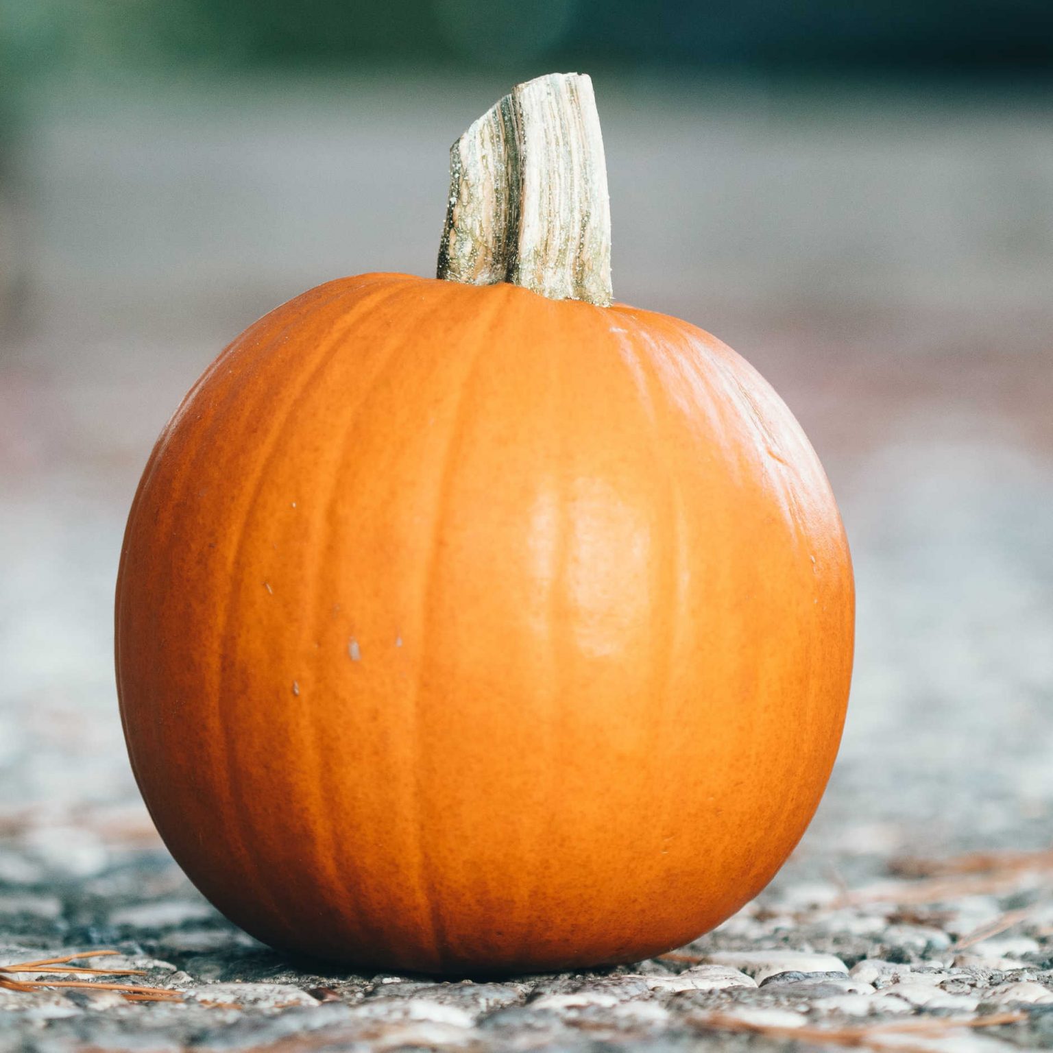Roasted Pumpkin with Cinnamon-Ginger, Maple Syrup, and Brown Sugar ...