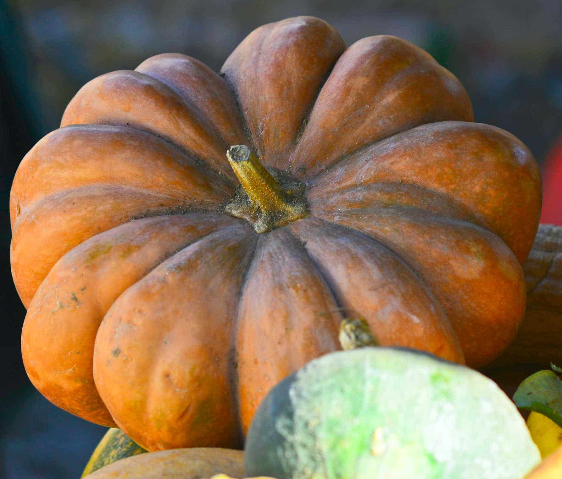 Roasted Pumpkin with Cinnamon-Ginger, Maple Syrup, and Brown Sugar ...
